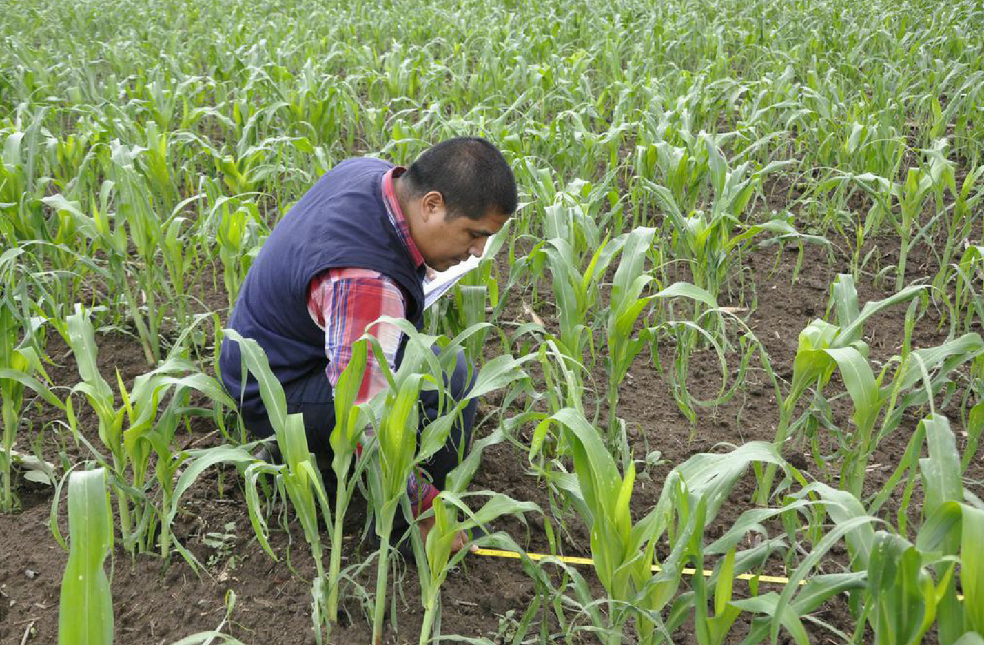 Policy Brief: Identifying the Root Causes of Low Technology Adoption ...