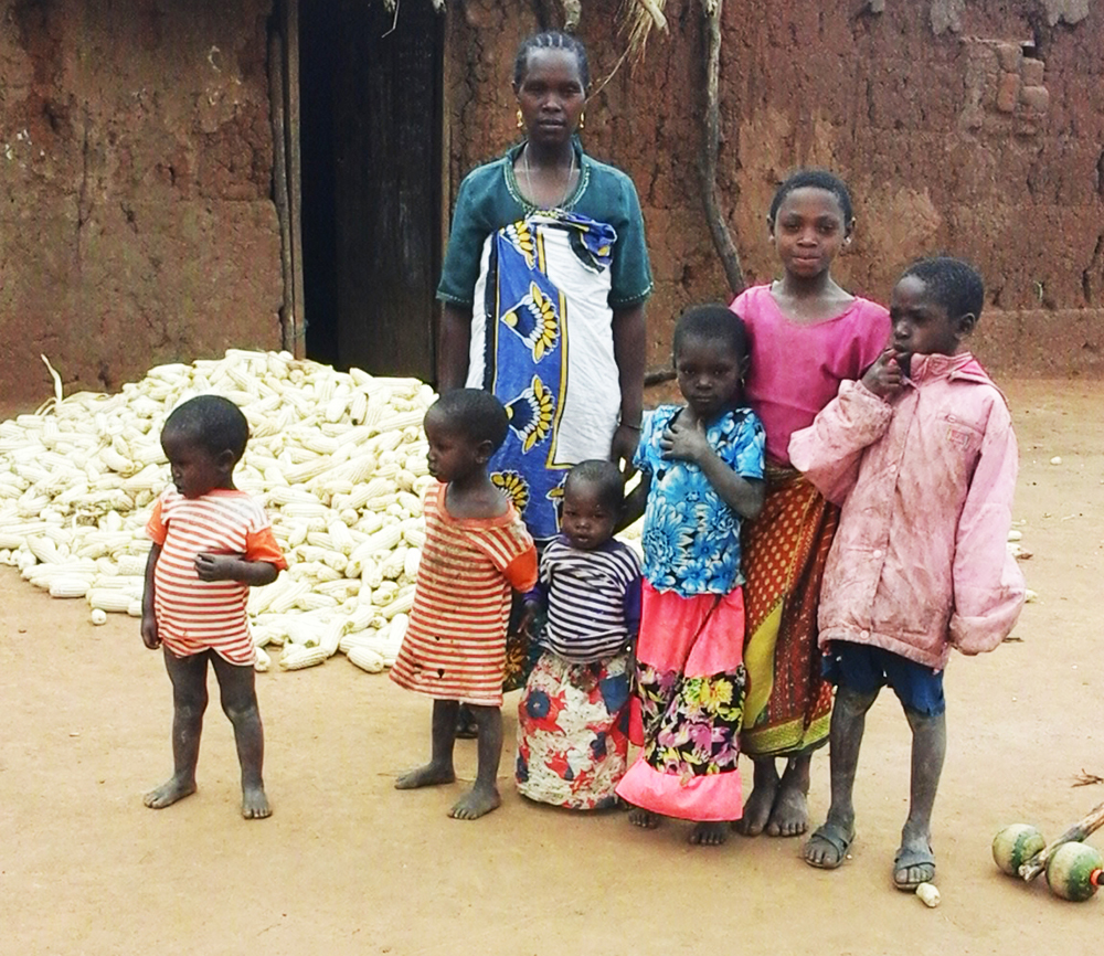 Spotlight: Partnerships to Scale Insured Drought-tolerant Maize Seeds ...